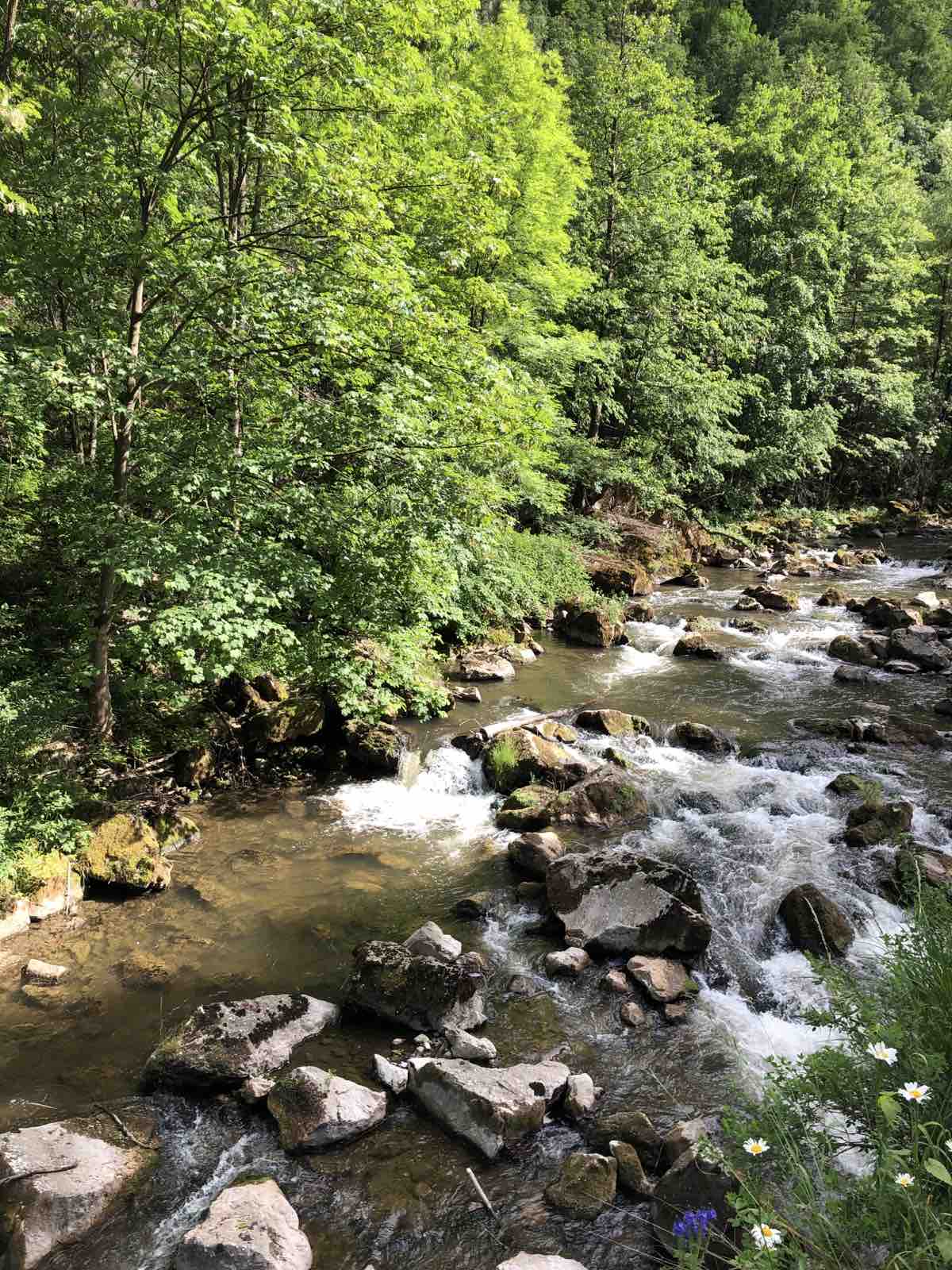 "Odbranimo reke" u subotu organizuje "Ekološki ustanak" - Nova Ekonomija